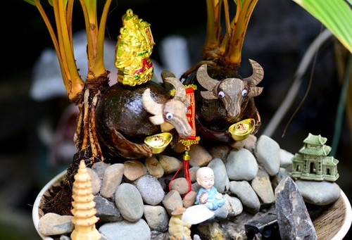 Artist transforms coconut shells into buffalo-shaped Tet penjings
