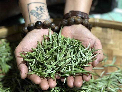 Lai Chau’s Shan Tuyet tea wins 4 prizes at “Teas of the World ...