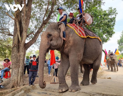 Ceremony praying for elephants’ health signifies bond between human and ...