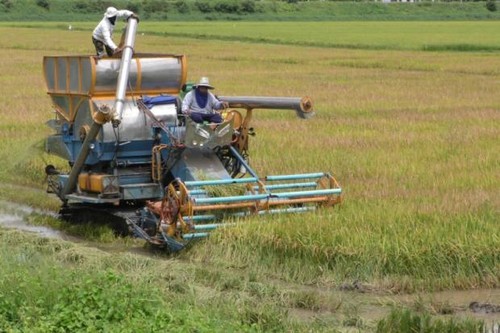 Sustainable agriculture development in ASEAN integration