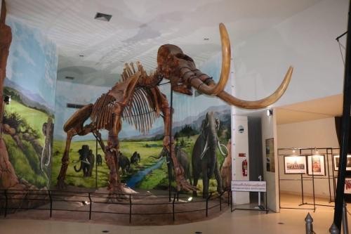 Khorat Geopark in the Northeastern Province of Nakhon Ratchasima