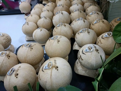 Bên Tre prête à exporter des noix de coco vers la Chine