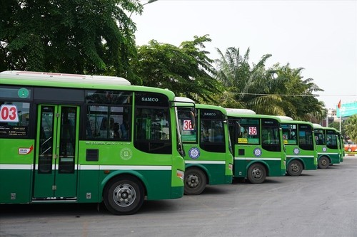Triển khai xe bus mini tại thành phố Hồ Chí Minh là giải pháp khả thi